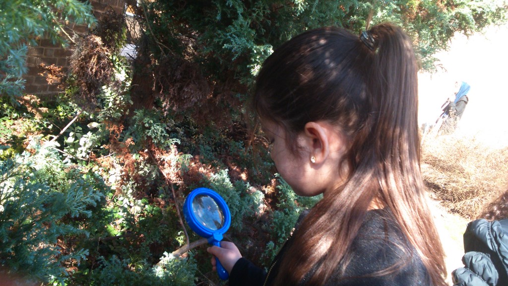 Organic and child centred learning environment | Forest School ...